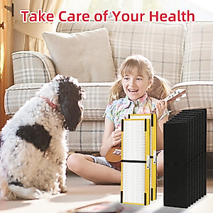 FLT4825 HEPA Filter B Replacement for Guardian Air Purifier AC4825 AC4300 AC4800 AC4900 AC4850 Models, 2 Packs HEPA Filters and 8 Packs Pre-Filters by APPLIANCEMATES