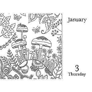 Johanna Basford 2019 Coloring Day-to-Day Calendar