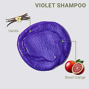 Loma Hair Care Violet Shampoo Violet Conditioner Duo, 12 Fl Oz , 2 Count (Pack of 1)