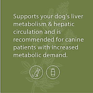Standard Process - Canine Hepatic Support - Liver Metabolism Support for Dogs - 30 Grams