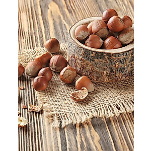 Anna and Sarah Large Oregon Hazelnuts in Shell, 5 Lbs