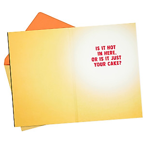 Hallmark Funny Birthday Card with Light and Sound (Birthday Cake Fire)