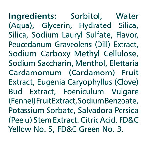 Himalaya Mint Fresh Gel Toothpaste, Fluoride Free to Reduce Plaque & Brighten Teeth, 6.17 oz