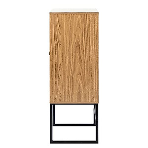 Epaphus 2-Door Accent Cabinet with Interior Shelves and Black Metal Base