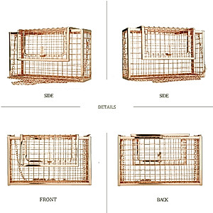 YYW Women Chain Crossbody Bags Iron Cage Metal Hollow Out Cage Evening Clutch (Gold)