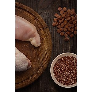 Perfectus Plentiful Poultry and Ancient Grain Recipe - Natural, Non GMO, High Protein Premium Dry Dog Food 8 lbs Bag