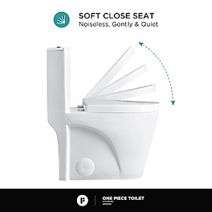 Fine Fixtures Dual-Flush Elongated One Piece Toilet Bowl - Soft Close Seat with High Efficiency Dual Flush in White…