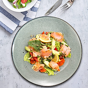 Mezchi 4 Pack Ceramic Dinner Plates, 10 Inch Ceramic Plates Set, Round Kitchen Plates for Restaurant, Party, Microwave, Oven and Dishwasher Safe