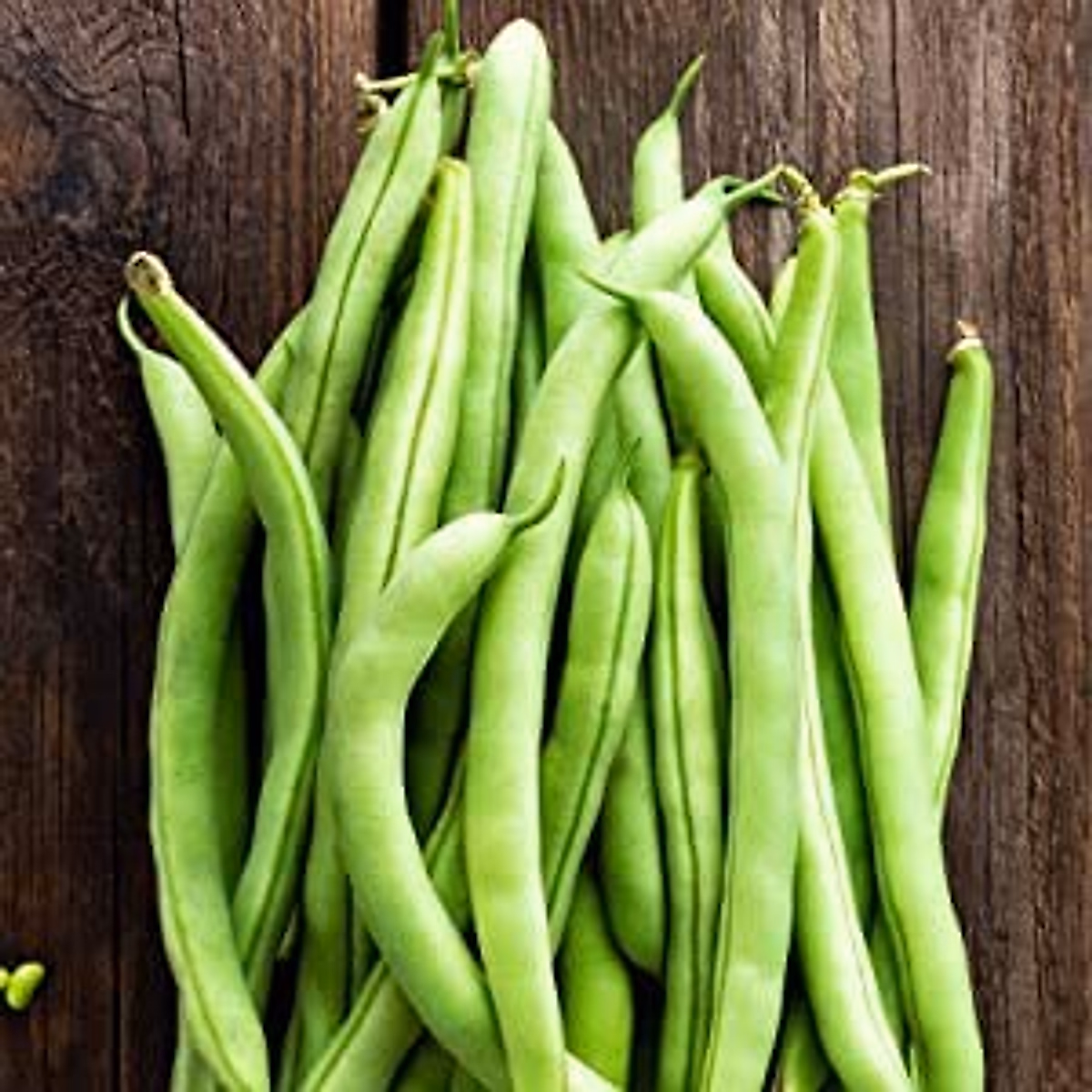 "Harvester" Bush Bean Seeds for Planting, 50+ Heirloom Seeds Per Packet, (Isla's Garden Seeds), Non GMO Seeds, Botanical Name: Phaseolus vulgaris, Great Home Garden Gift