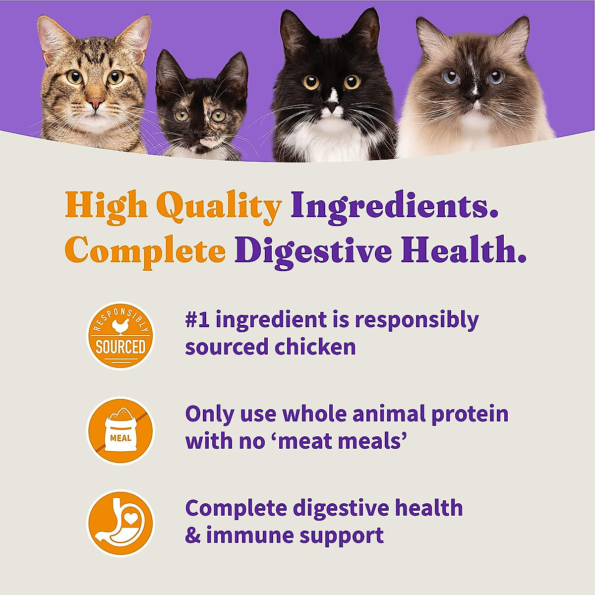 Halo Holistic Indoor Cat Food Dry, Grain Free Cage-free Chicken Recipe for healthy weight support, Complete Digestive Health, Dry Cat Food Bag, Adult Formula, 6-lb Bag