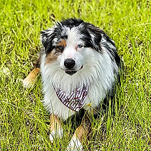 Odi Style Mother's Day Dog Bandana - 2 Pack Mother's Day Hearth Dog Bandanas for Small, Medium, Large Dogs, Puppy Accessories, Handkerchief with Hearth and Paw Prints, Red and White Scarfs