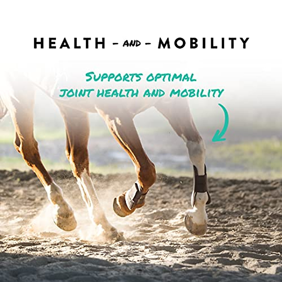 Manna Pro Sho-Flex Supplement for Horses | Formulated with MSM, Glucosamine, and Chondroitin | 5 Pounds