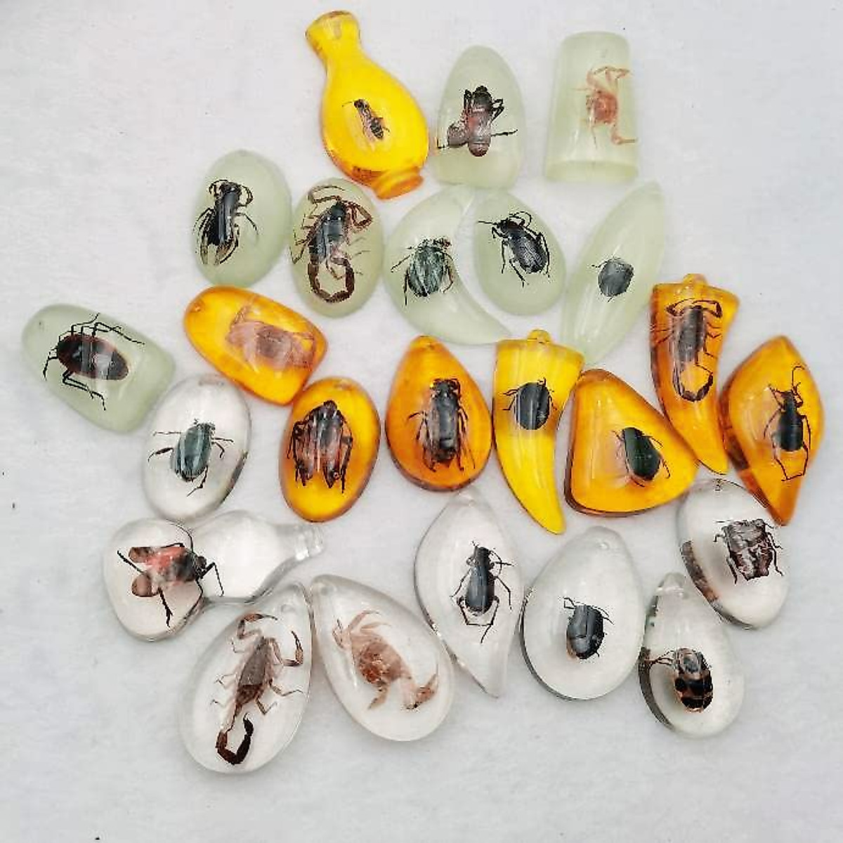 Multiple Psc Insect Amber Fossils, Luminous Amber Fossil Pendants, Educational and Scientific Amber Collections (12Pcs)