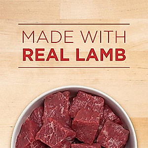 Purina ONE Plus Wet Puppy Food Classic Ground Healthy Puppy Lamb and Long Grain Rice Entree - (Pack of 12) 13 oz. Cans