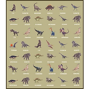 Dinosaur Blanket for Boys，Jurassic World Adults Dino Blanket，Soft Cozy Warm Throw Fleece Blanket for Couch Sofa Bed (Dinosaurs, 80" L x 60" W)