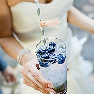 Striped Paper Straws - Silver White - Christmas Holiday Wedding Anniversary Party Supply - 7.75 Inches - 100 Pack - Outside the Box Papers Brand