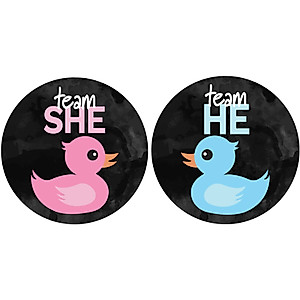 What The Duck are They Having Gender Reveal Party - Rubber Duck Team He or Team She - 40 Stickers