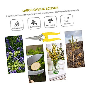 VILLFUL 1pc Pruning Shears Pruners Bonsai Cutters Gardening Trimming Tool Labor Saving Scissor Gardening Tool Yard Pruning Tools Gardening Supplies Jagged Stainless Steel