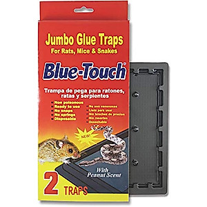 Blue Touch Great Large Mouse Glue Traps, Professional Mouse Glue Boards for Rats, Mice, Snakes and Pests. Jumbo Size 5.4" X 10.7" X 1", 7 Packs - 14 Traps