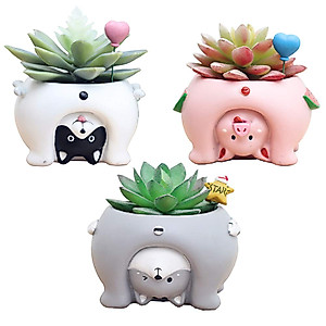 Smallwoodicute Ceramic/Plastic Plant Flower Pot,Cute Cat Pig Dog Succulent Plant Container Resin Flower Pot Bonsai Ornament - Pig
