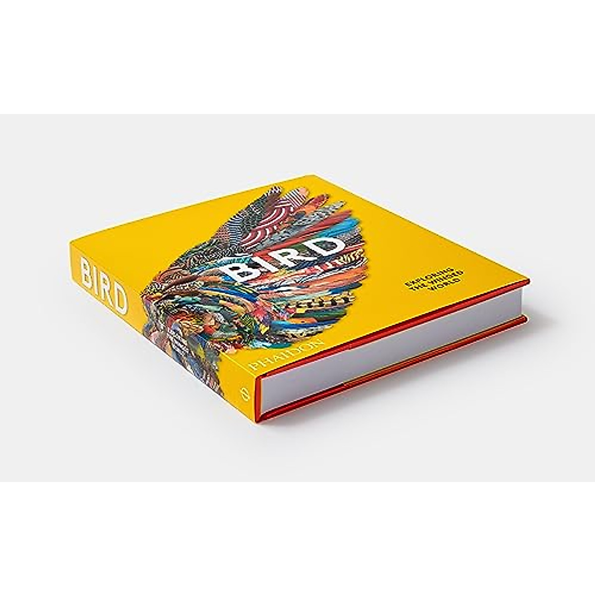 Bird: Exploring the Winged World