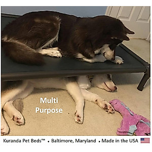 Kuranda Elevated Indoor Bed - Walnut PVC - X-Large - 44" x 27" - Cordura - Burgundy