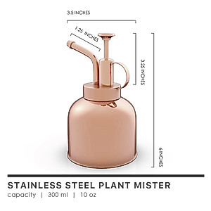 LOOPSEED Stainless Steel Plant Mister Spray Bottle Watering Can for Indoor Plants Succulent Bonsai Garden Spray Houseplant Spritzer Modern Garden Tools 10oz/300ml (ROSE GOLD)