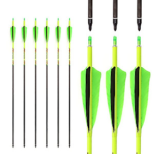 600 Spine Flecha 30 Pulgadas Flecha Flechas Carbono Flechas Puntería Flecha de Caza Arco Compuesto Arco Recorvar Adulto Juventud Tiro con Arco Objetivo Práctica Entrenamiento 6pcs