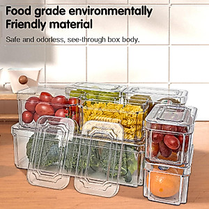 zvopvo Fridge Organizer, Stackable Refrigerator Organizer Bins with Lids, BPA-Free Produce Fruit Storage Containers for Storage Clear for Kitchen, Vegetable Storage [10-Pack]