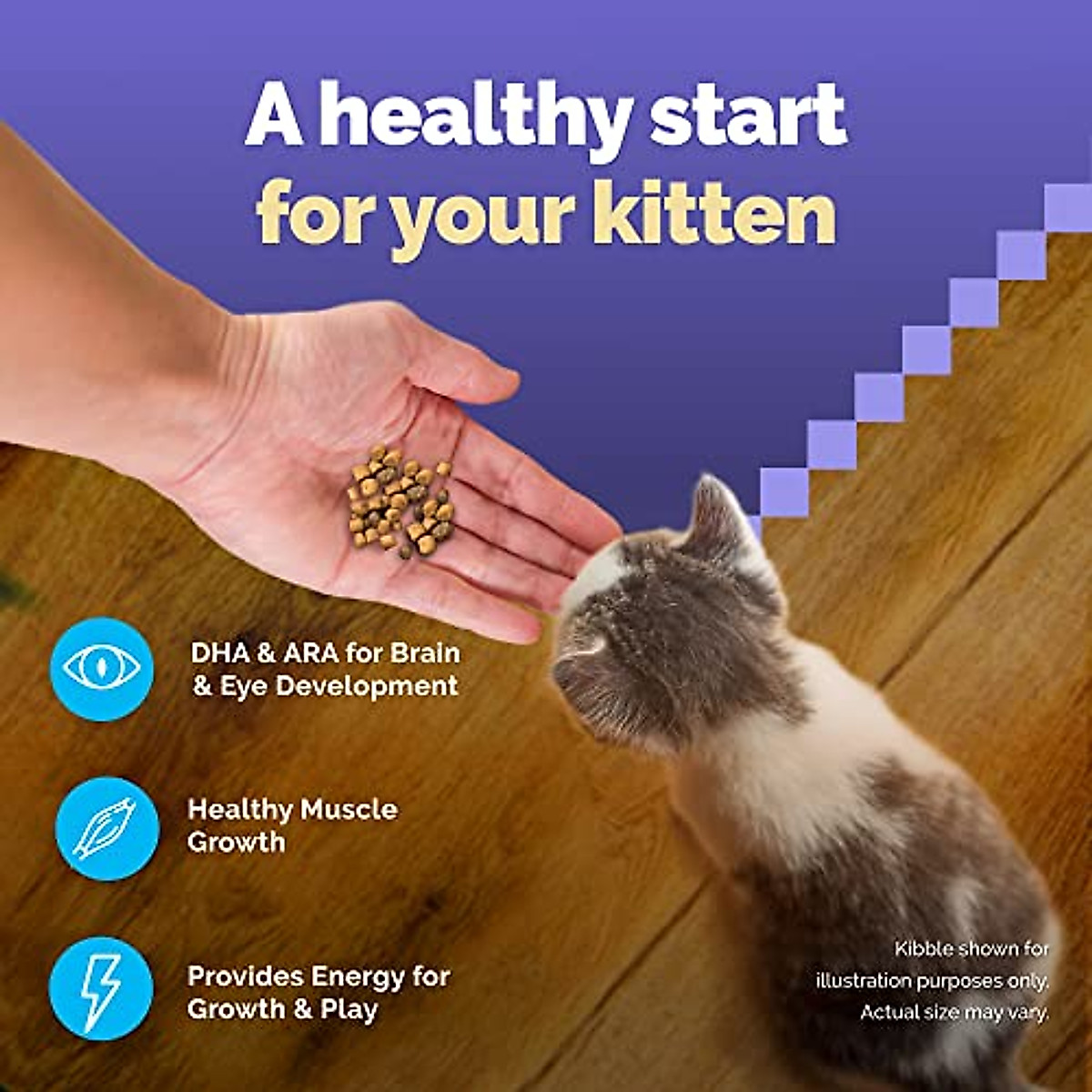 Blue Buffalo Cat Food for Kittens, Natural Chicken Recipe, High Protein, Dry Cat Food, 5 lb bag