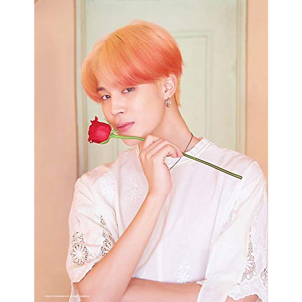 BTS OFFICIAL Photo Collection 8.5 x 11 Inch First Edition, K-Pop Bangtan Boys Music