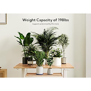 INNOVAR Bamboo Electric Standing Desk, 48×24 Inch Adjustable Desk with Keyboard Tray, Stand up Home Office Desk with Whole-Piece Board, White Frame/Bamboo Top