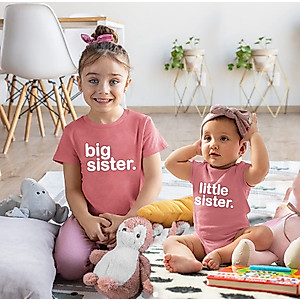 big sister little sister matching outfits shirts set baby toddler newborn girls (Mauve, Kid (4T) / Baby (1-3M))