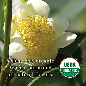 Allegro Tea Organic Jasmine Green Tea Bags, 20 Count