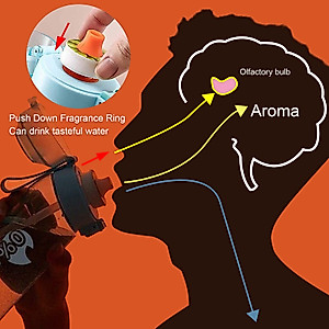 Orgonite Alr Water Bottle Starter Set Up, 650ml Sports Alr Water Bottle Up BPA Free With Straw, Drinking Bottles with 1 Random Flavour Pods Scented 0 Sugar Fruit Fragrance Water Cup for Outdoor Gym