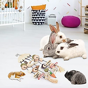 Bissap Rabbit Chew Toy, Bunny Cage Hanging Chew Toys and Treats Wooden with Snacks for Guinea Pigs Chinchillas Hamsters Rats and Other Small Pets Teeth Grinding
