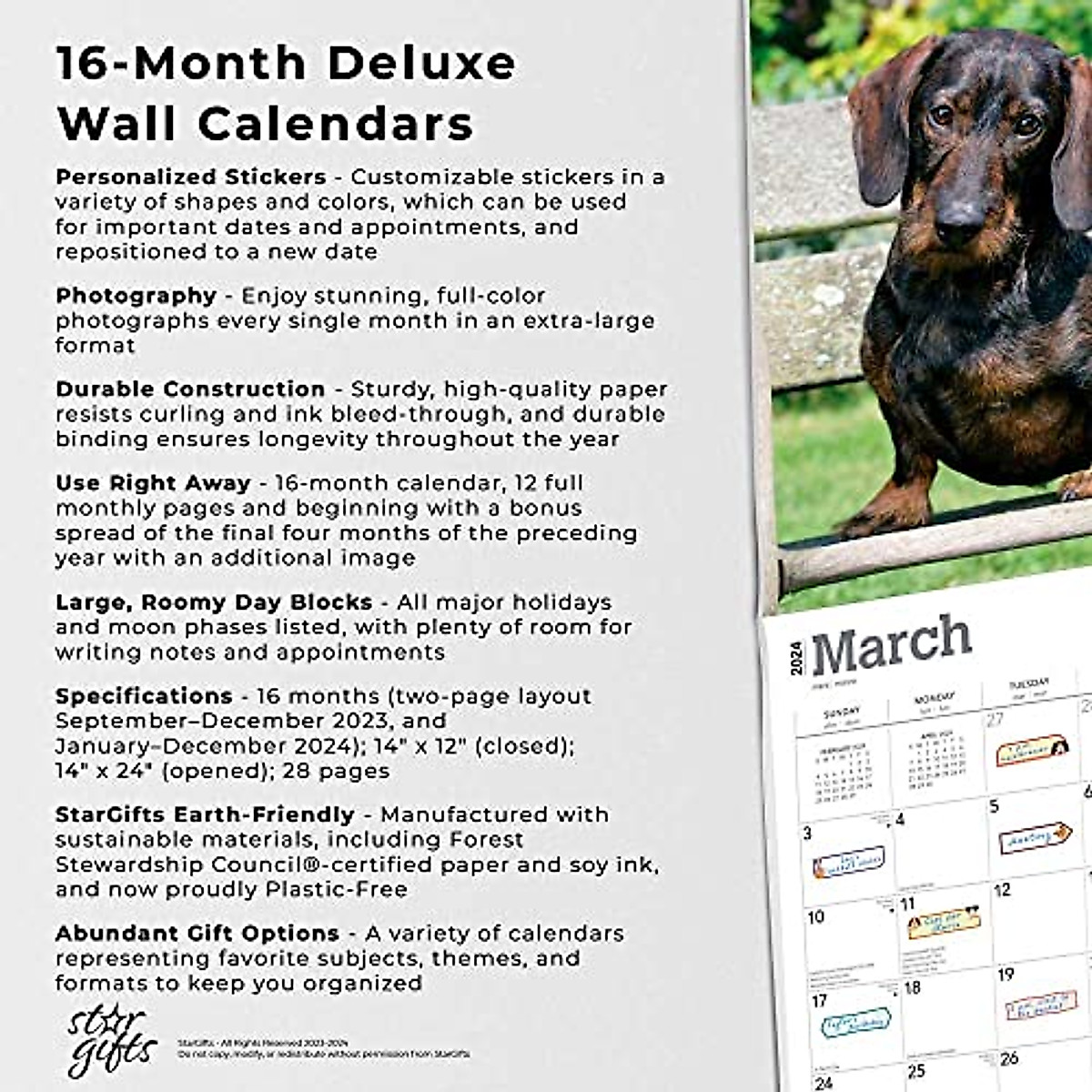 The Beauty of Dachshunds | 2024 14 x 24 Inch Monthly Deluxe Wall Calendar | Sticker Sheet | StarGifts | Animal Dog Breeds