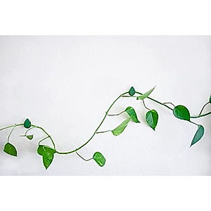 Urban Green Home Plant Clips with Pre-Applied Adhesive Pads for Climbing and Hanging Plants to Walls Invisible Leaf Design 20 Count