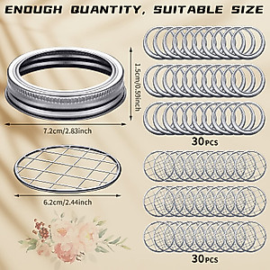 30 Pieces Mason Flower Jar Lid Mason Jar Lids with Straw Hole Stainless Steel Flower Insert Lid Insert Mason Grid Organizer Lid Decorative Flower Organizer Lid for Regular Mouth