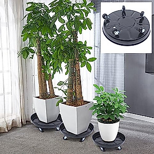 LYNICESHOP Plant Caddy with Wheels, 3Pack Plastic Plant Pallet Caddy Stand Planter Mover Flower Pot Dolly Caster Heavy Duty Plant Stand with Universal Wheels Round Pot Trolley for Indoor Outdoor
