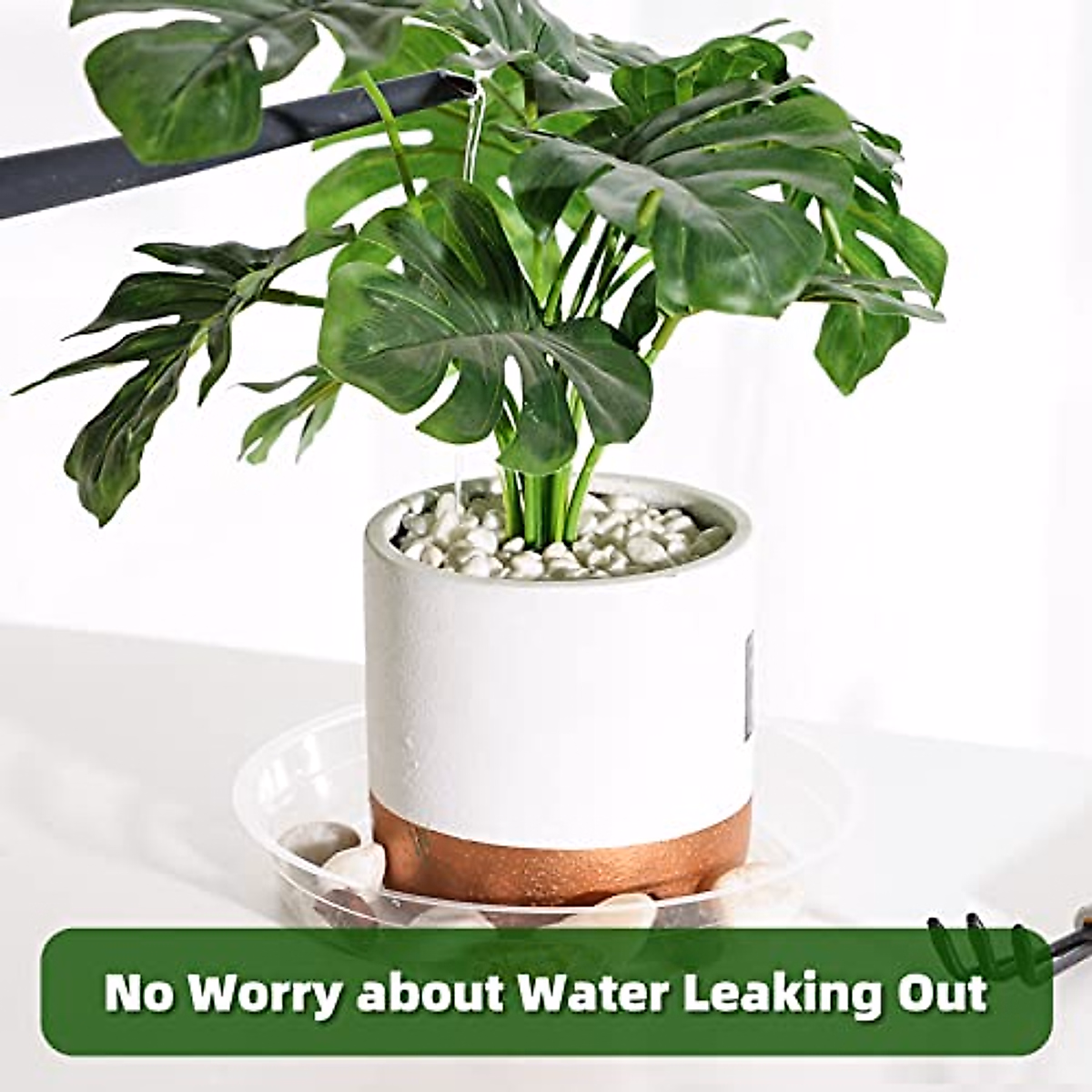 TRUEDAYS 20 Pack Plant Saucers (6 inch / 8inch / 10inch / 12inch) Clear Plant Saucers Flower Pot Tray Excellent for Indoor & Outdoor Plants