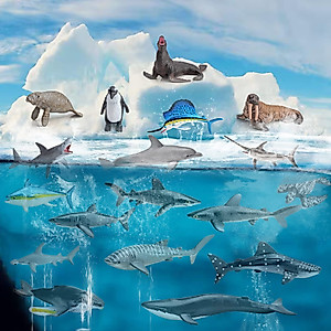 Sea Animal Model Ocean Creatures Playsets 22 PCS Mini Shark Whale Tuna Swordfish Sailfish Sardine Dolphin Manatee Sea Lion Walrus Action Figure Toys Party Gifts for Boys Girls Kids