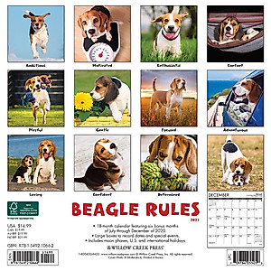 Beagle Rules 2021 Wall Calendar (Dog Breed Calendar)