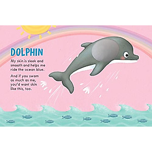 Wild Animals: A Touch and Feel Book - Children's Board Book - Educational