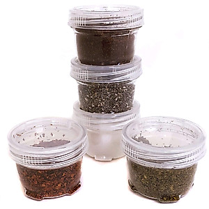 Paylak Storage Containers Stackable Interlocking Detachable 5 For Beads Crafts Medicine Small Items 2" Round