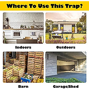 Mouse Trap - Bucket Mouse Trap - Flip and Slide Bucket Lid Mouse Trap - Rat Trap-5 Gallon Mouse Trap Bucket lid-Humane or Lethal-Multi Catch-Auto Reset-Indoor Outdoor-Reusable (3-Pack)