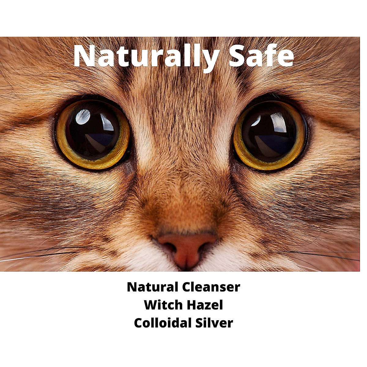 PawPurity Tear Stain Remover Wipes (60 pcs) for Cats | 100% Natural, Safe and Effective. | Removes Stains from Eyes of Cats and Kittens | Recommended by Vets/Groomers | Contains Colloidal Silver