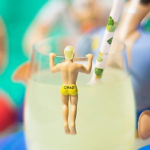 NPW Themed Reuseable Glass Drink Markers, 6 Classics, Clear and Multi color