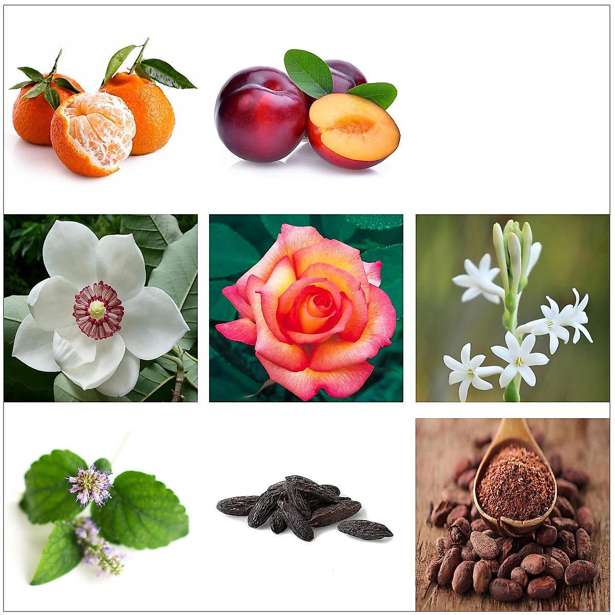 RACHEL ZOE Warrior Gift Set - Designer Women Perfume, Body Spray for Women - Fruity Eau de Parfum Sprays - Ideal Perfume Gift Set for Women - 3 pc