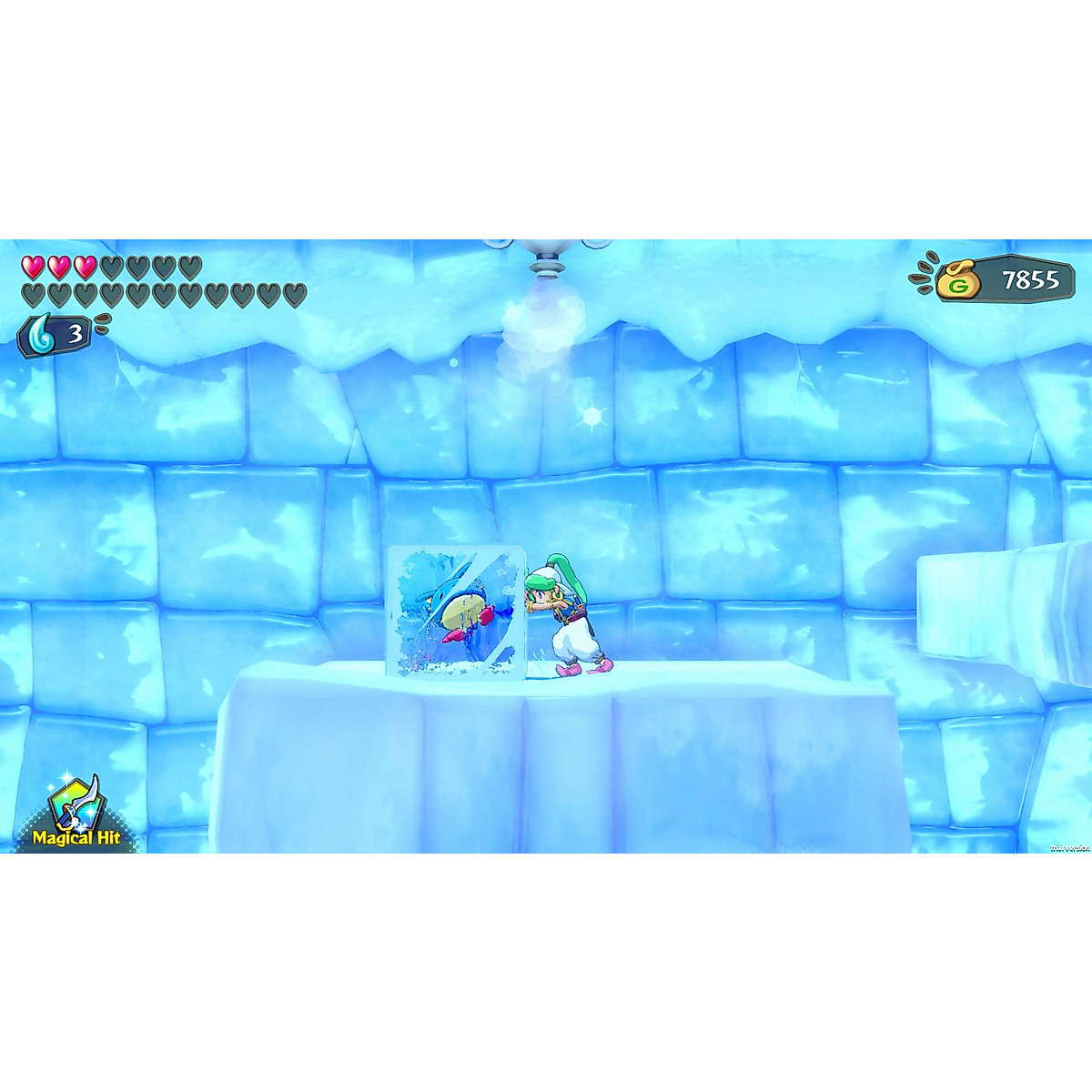 Wonder Boy: Asha In Monster World (Nintendo Switch)